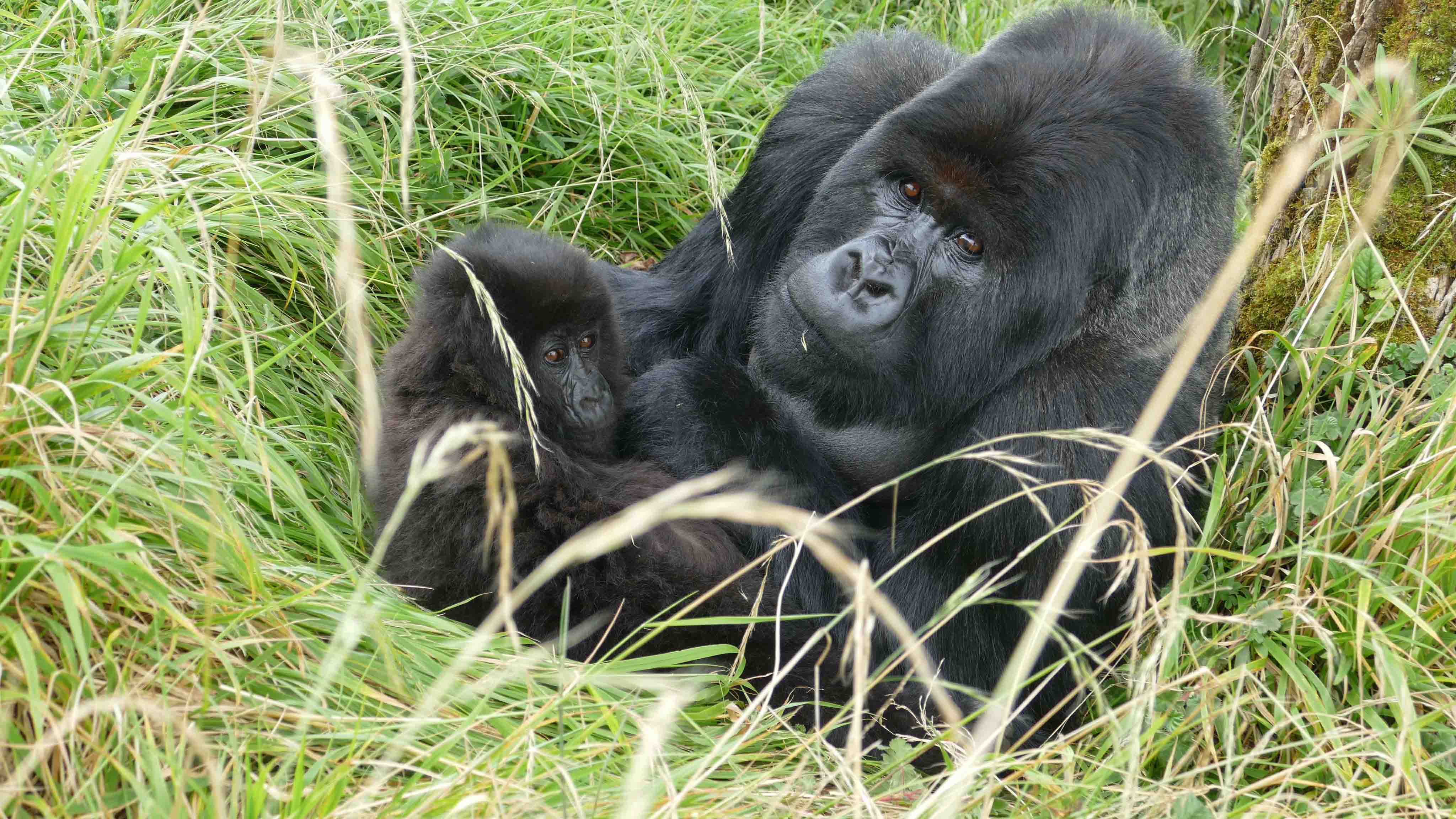 Heza_Country_Tours_Ltd